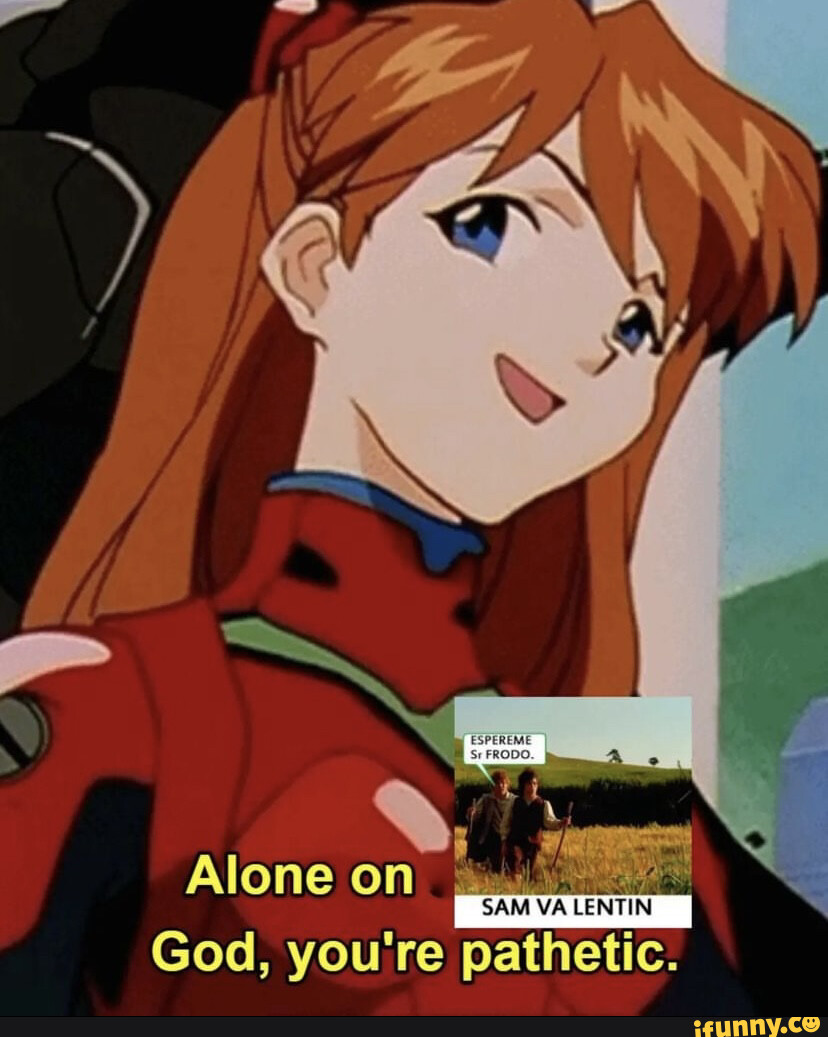 Alone on SAM VA LENTIN God, you're pathetic. - iFunny