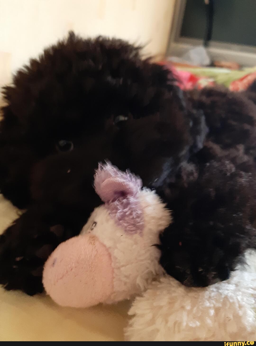 Porthos memes. Best Collection of funny Porthos pictures on iFunny