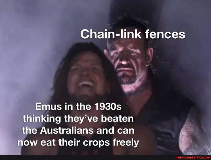 *annoyed emu noises* // @napoleon_gang_ - - #meme #memes #funny # ...