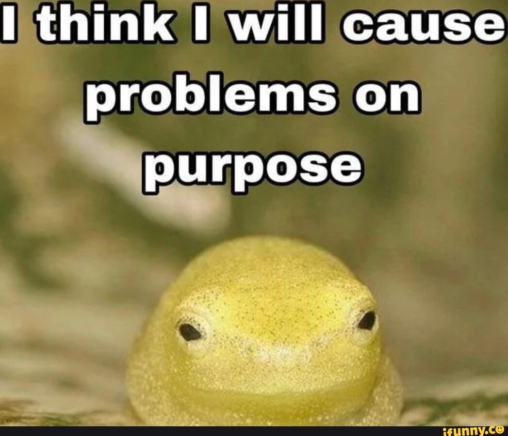I think I will cause problems on purpose - iFunny