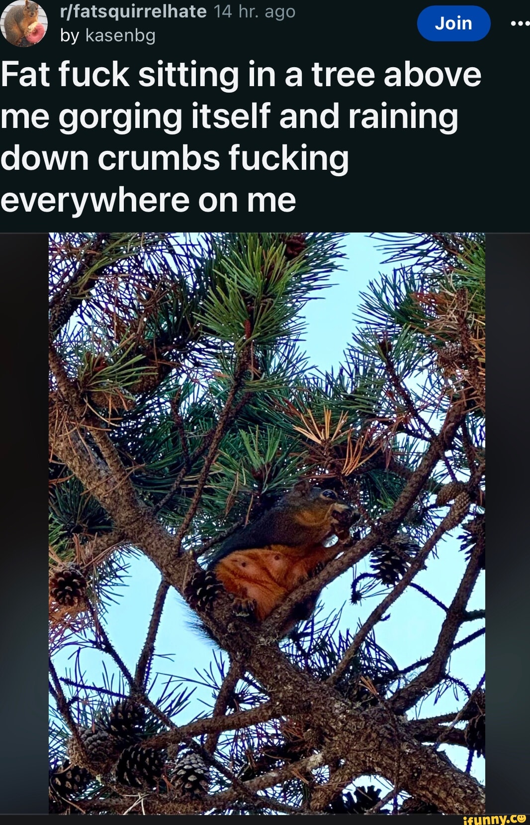 Gorging memes. Best Collection of funny Gorging pictures on iFunny