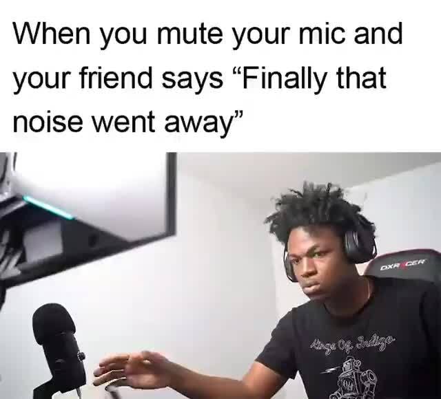 When you mute your mic and your friend says "Finally that noise went ...