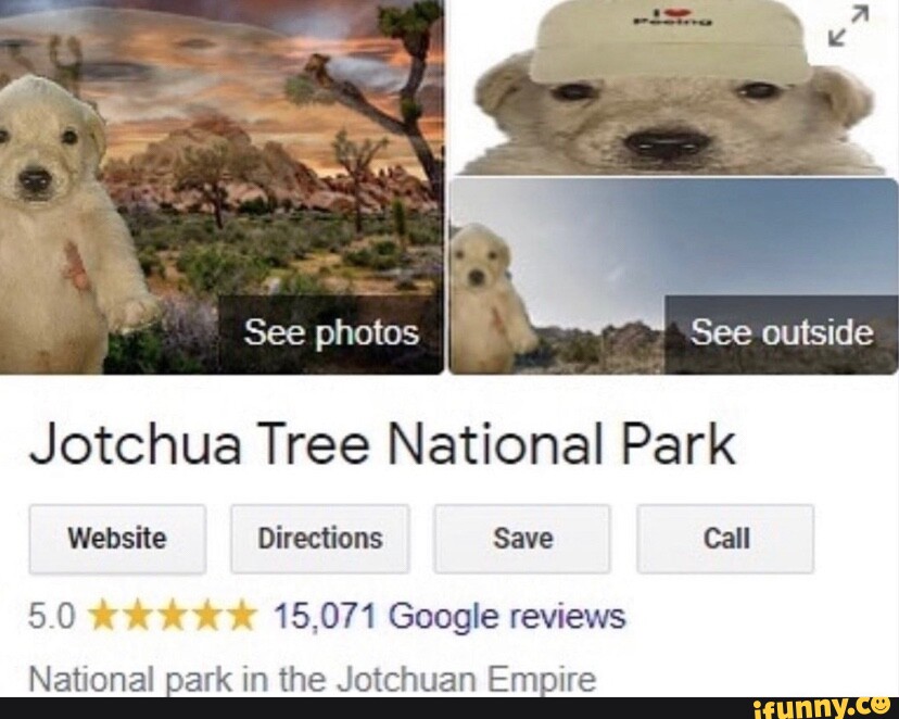 Jotchua memes. Best Collection of funny Jotchua pictures on iFunny