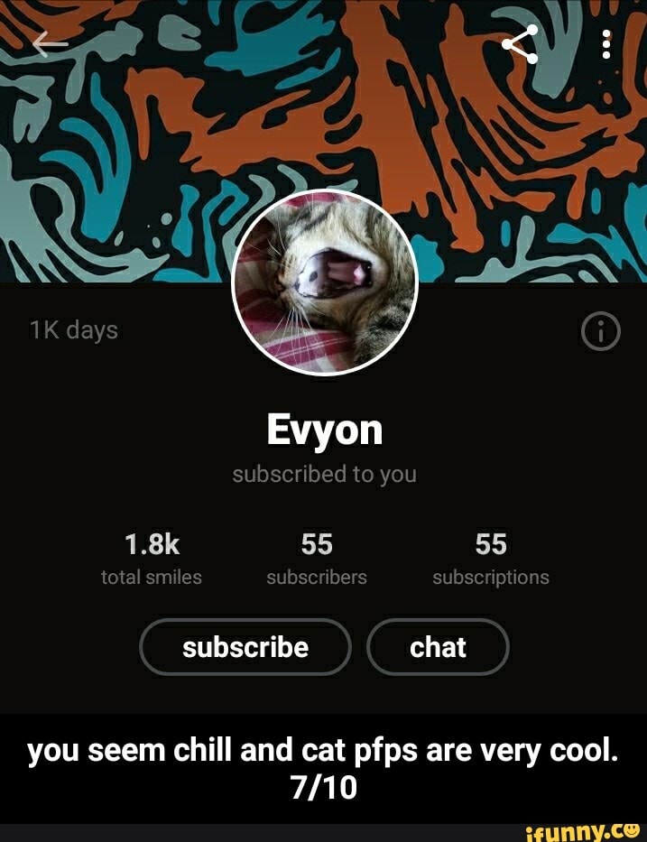 You seem chill and cat pfps are very cool. 7/10 - you seem chill and ...