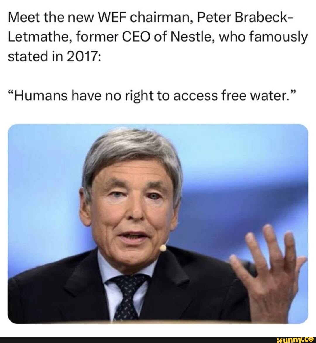 Meet the new WEF chairman, Peter Brabeck- Letmathe, former CEO of ...