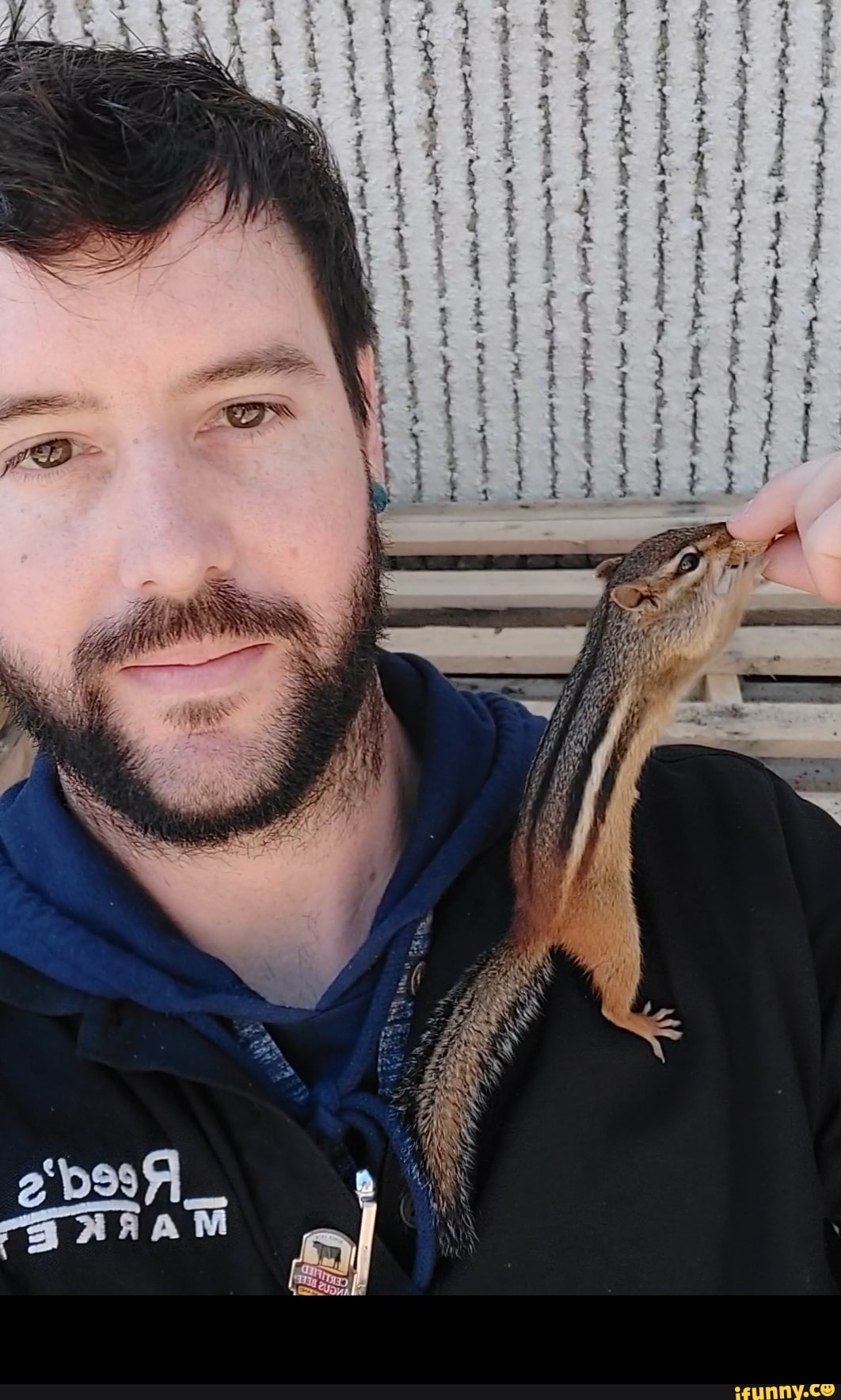 Chipmonks memes. Best Collection of funny Chipmonks pictures on iFunny