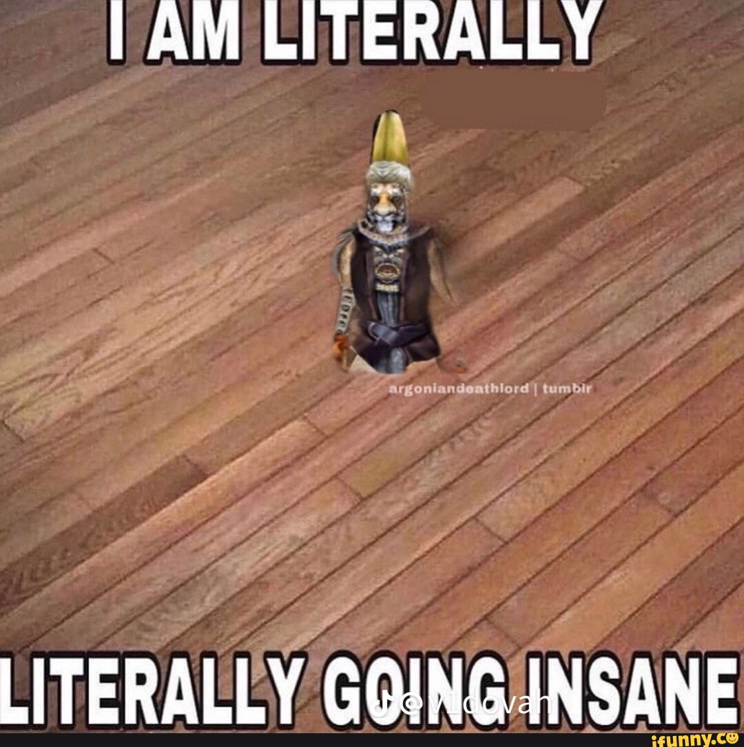 I AM LITERALLY LITERALLY - iFunny