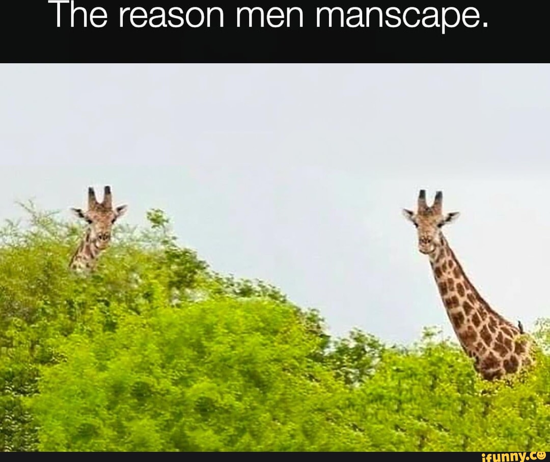 Manscape memes. Best Collection of funny Manscape pictures on iFunny