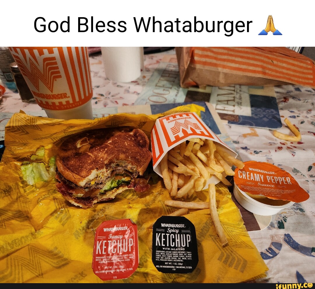 200+ FLAT EARTH Bible Verses 'WATERS ARE STRAIGHT, NOT CURVED: Job AND ...