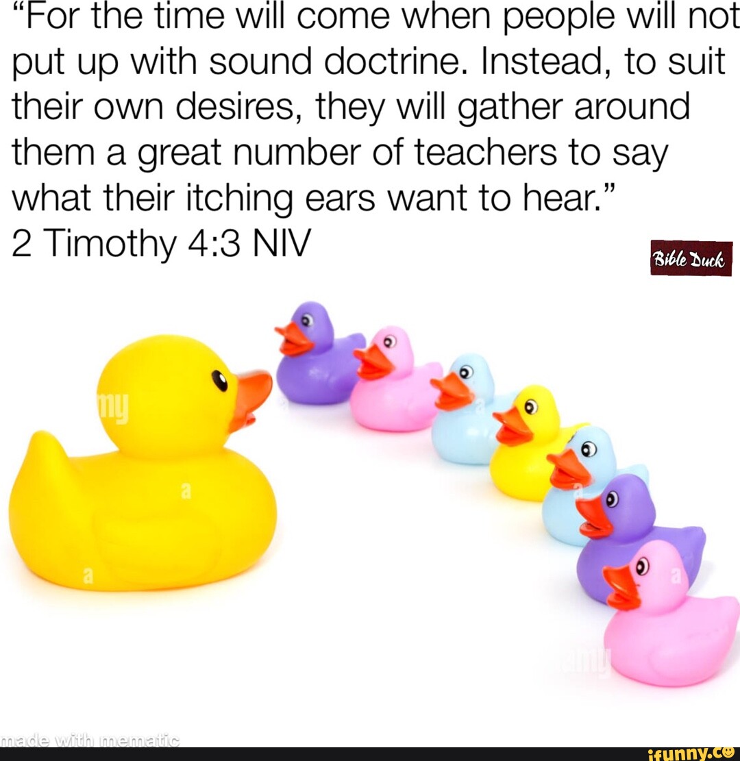 Itching memes. Best Collection of funny Itching pictures on iFunny