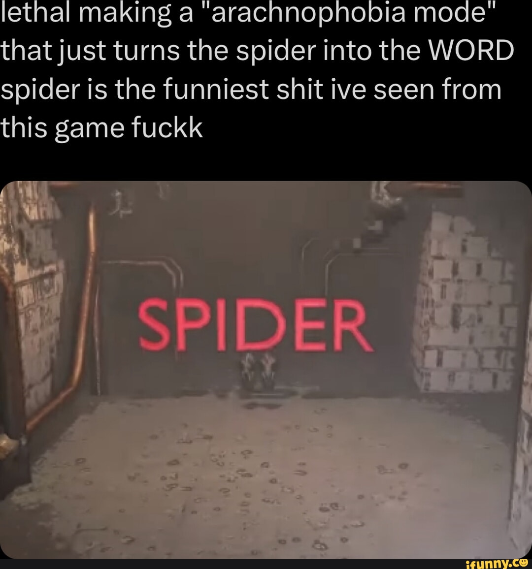 Lethal making a "arachnophobia mode that just turns the spider into the ...