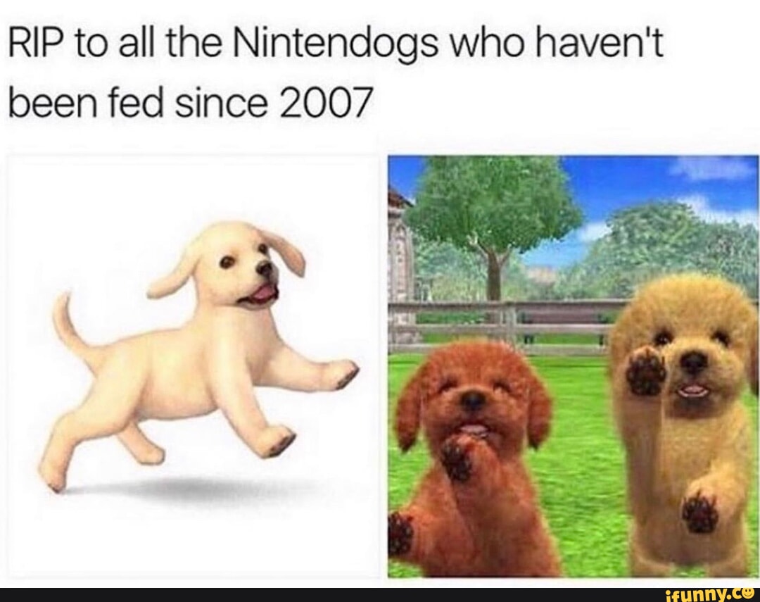 Nintendogs memes. Best Collection of funny Nintendogs pictures on iFunny