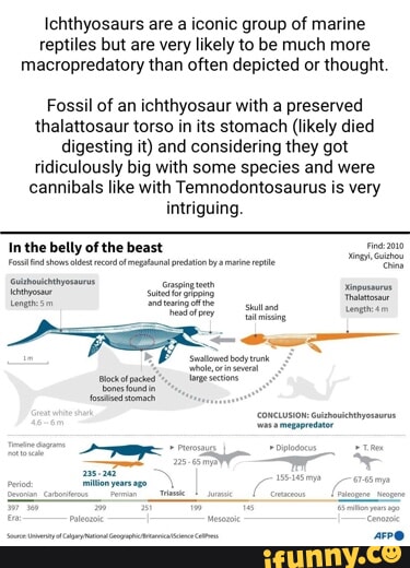Ichthyosaur memes. Best Collection of funny Ichthyosaur pictures on iFunny