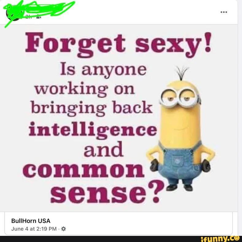 Forget sexy! Is anyone working on bringing back intelligence and common ...
