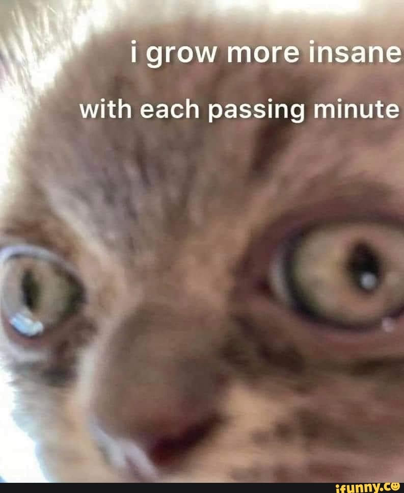 Grow more insane with each passing minute - iFunny