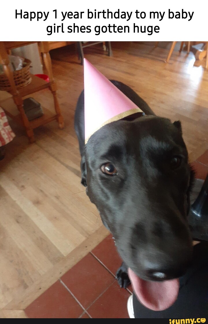 Funny Happy Birthday Girl Meme