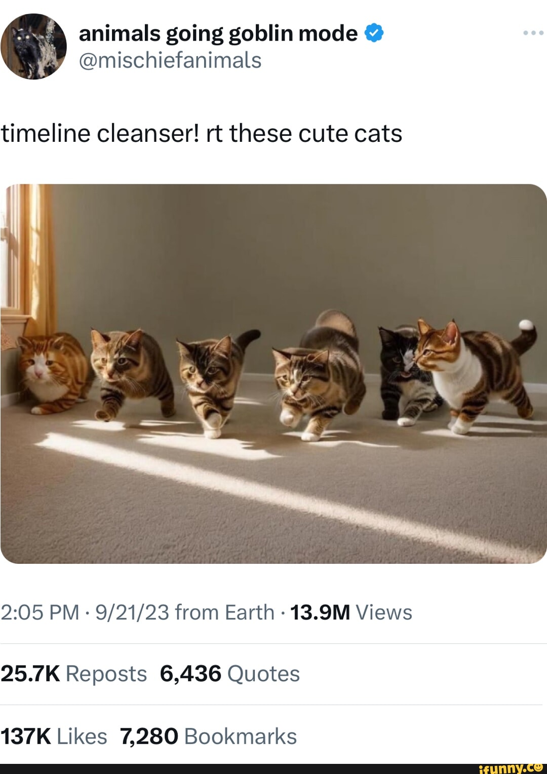 Animals going goblin mode @mischiefanimals timeline cleanser! rt these ...