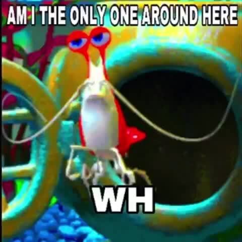 Finding Nemo Jacques I Am Ashamed