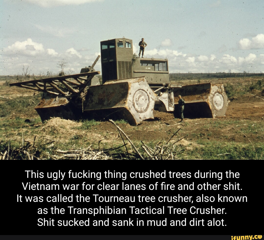 "Now who's getting wet hooman?" - iFunny