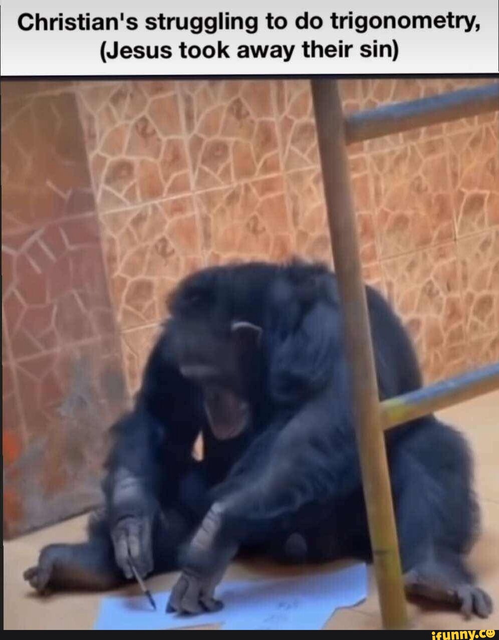 Trigonometry memes. Best Collection of funny Trigonometry pictures on ...