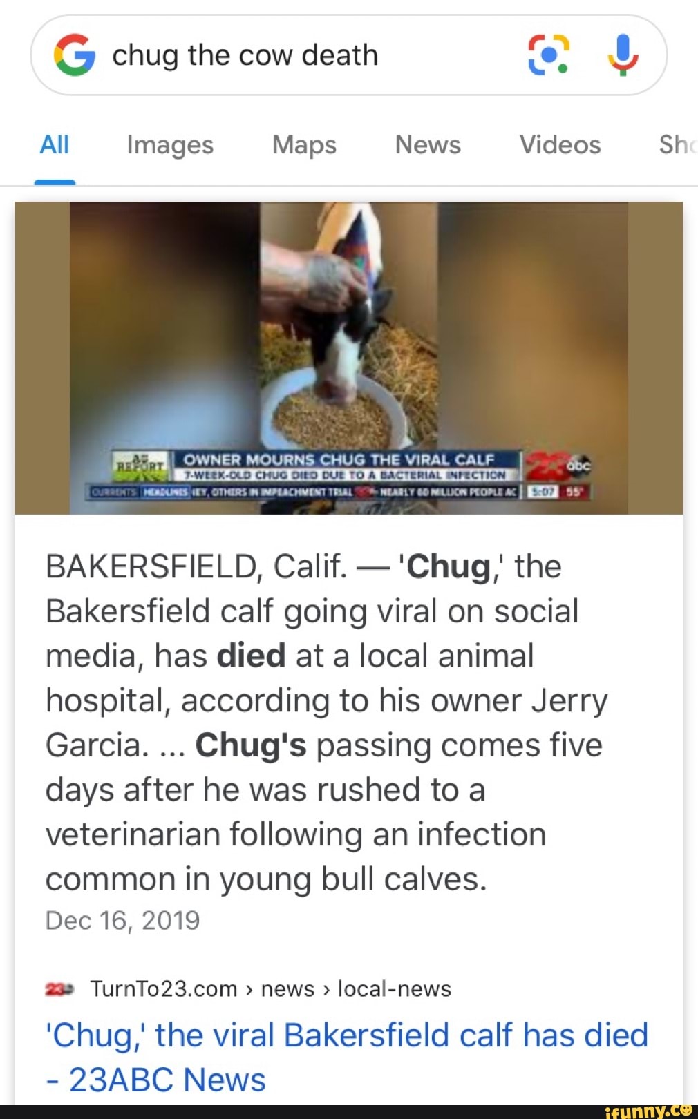 G chug the cow death All Images Maps News Videos Sh OWNER MOURNS CHUG ...