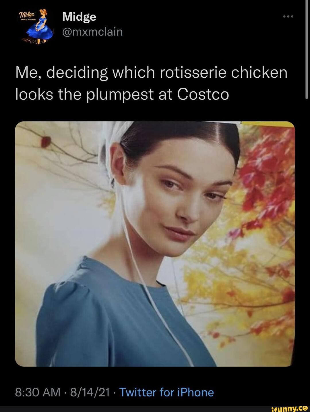 Certified pre-borrowed memes - Midge Me, deciding which rotisserie ...