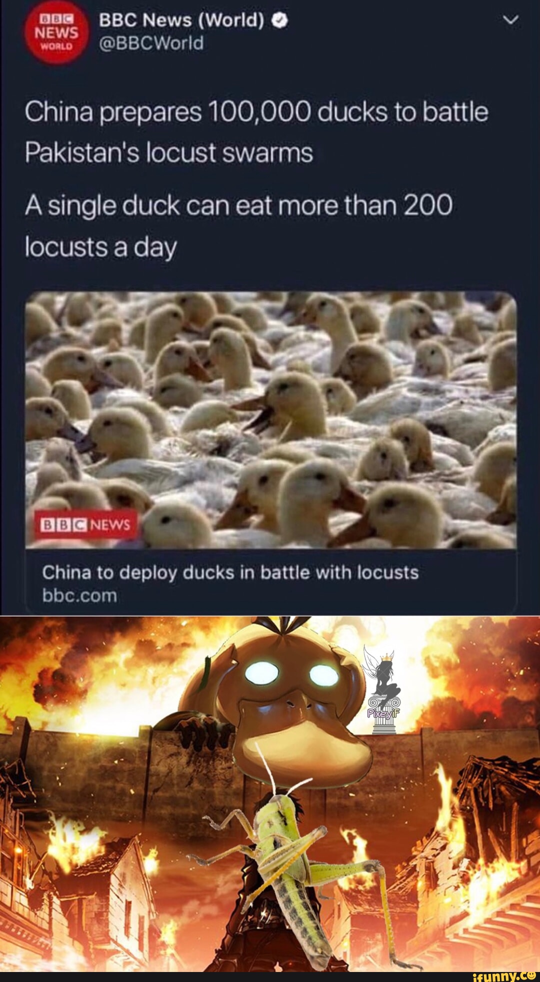 Locusts memes. Best Collection of funny Locusts pictures on iFunny