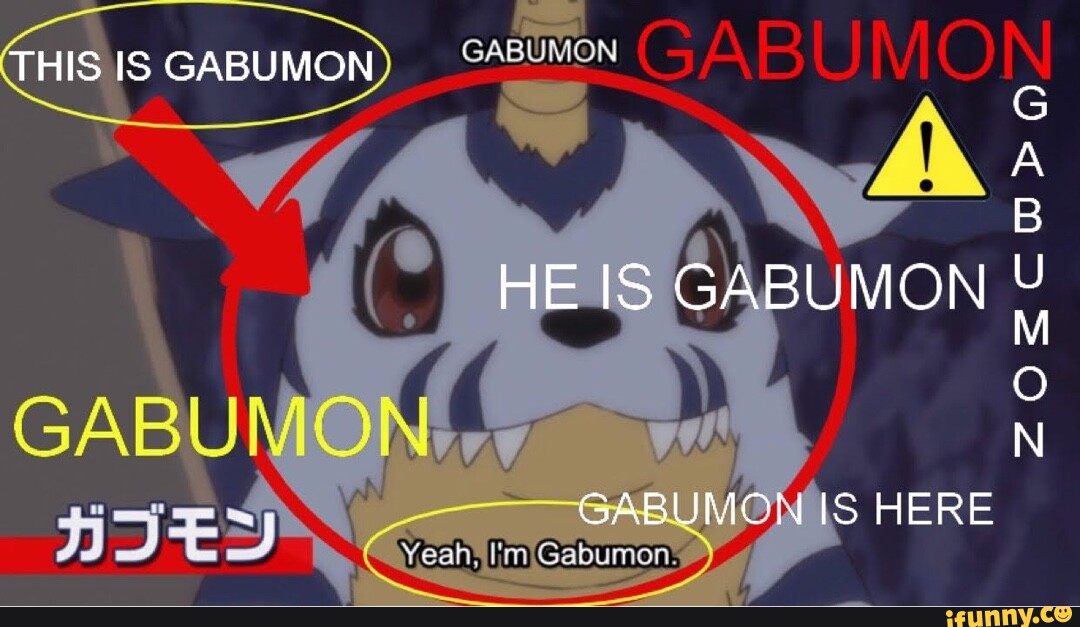 Gabumon memes. Best Collection of funny Gabumon pictures on iFunny