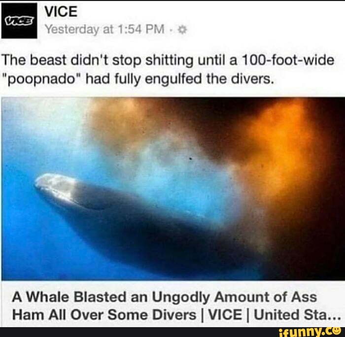 VICE PM The beast didn't stop shitting until a 100-foot-wide "poopnado ...
