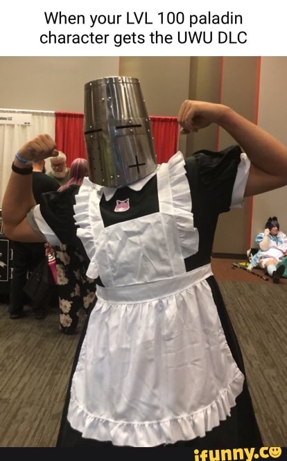 When your LVL 100 paladin character gets the UWU DLC - iFunny