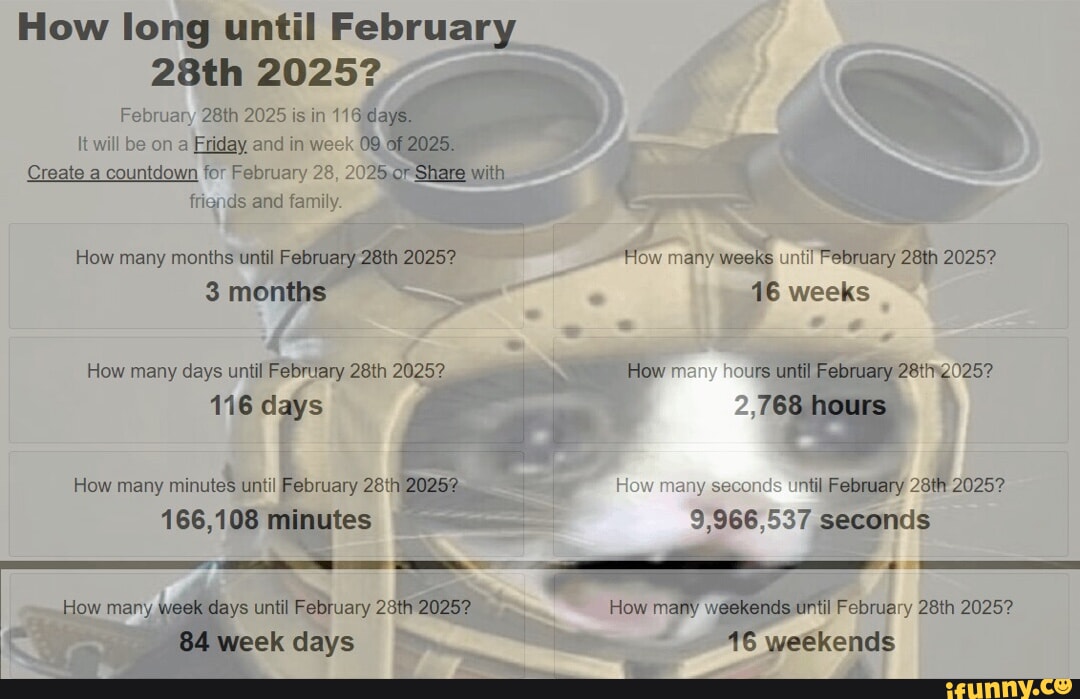 How long until February 28th 2025? February 28th 2025 is in 116 days ...