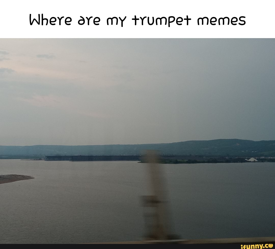 Where are my trumpet memes - iFunny