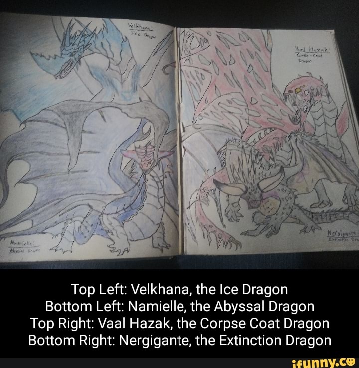 Namielle memes. Best Collection of funny Namielle pictures on iFunny