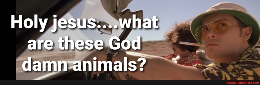 Holy jesus....what are these God damn animals? - America’s best pics ...