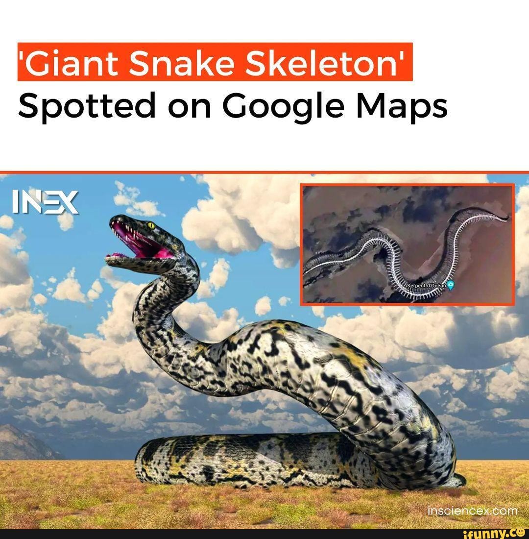 'Giant Snake Skeleton' Spotted on Google Maps - iFunny