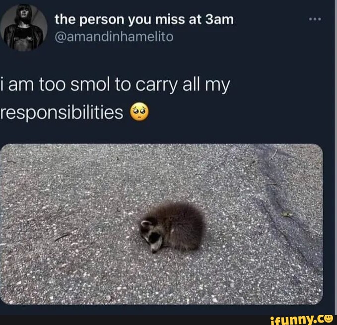 The person you miss at Sam iam too smol to carry all my ...