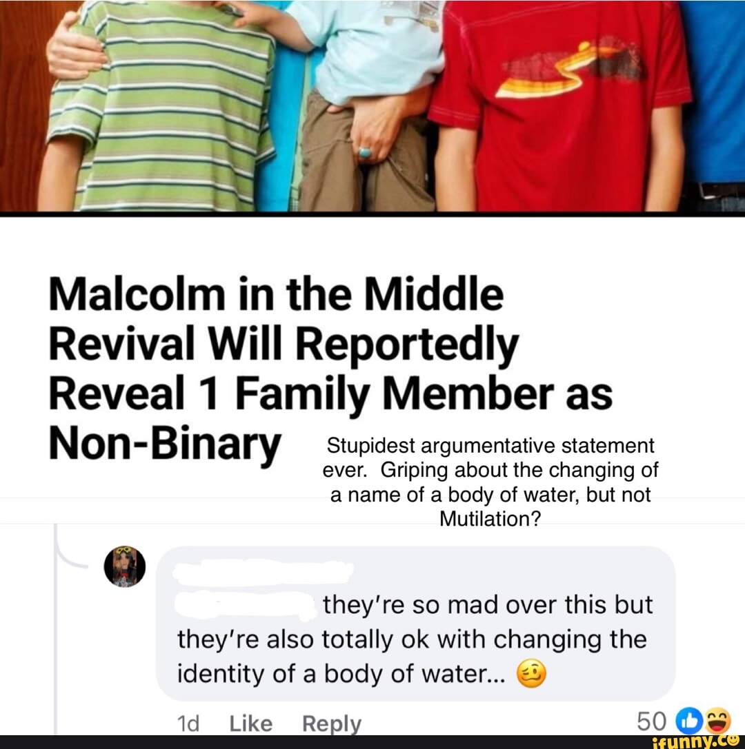 Malcolm in the Middle Revival Will Reportedly Reveal 1 Family Member as ...