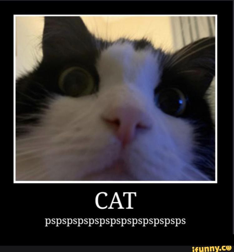 Pspspspspspspspsps memes. Best Collection of funny Pspspspspspspspsps ...