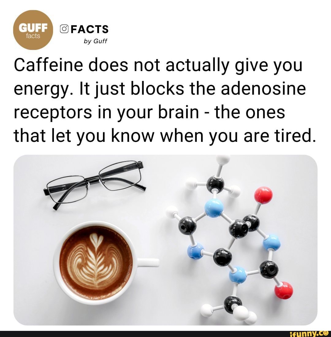 Adenosine memes. Best Collection of funny Adenosine pictures on iFunny