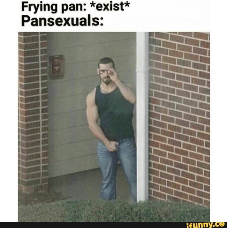 Frying pan: *exist* Pansexuals: - iFunny