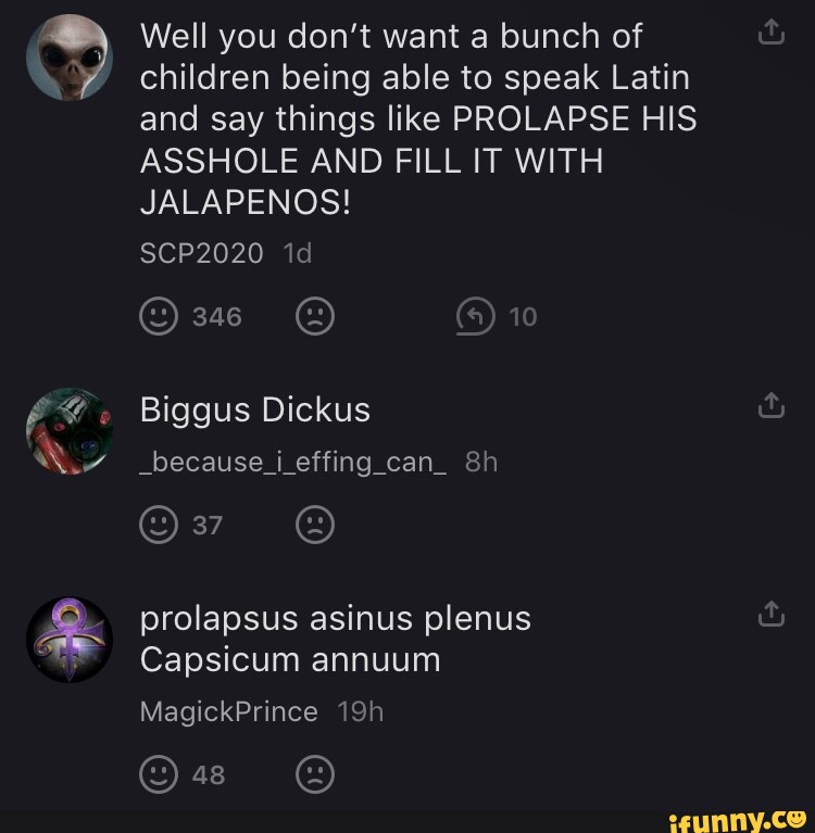 Prolapsus memes. Best Collection of funny Prolapsus pictures on iFunny