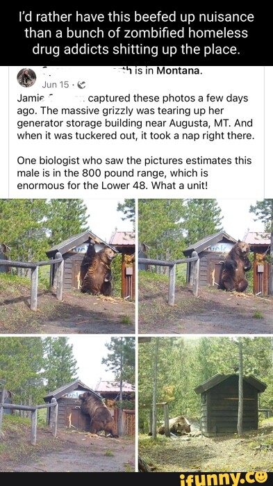 Nuisance memes. Best Collection of funny Nuisance pictures on iFunny