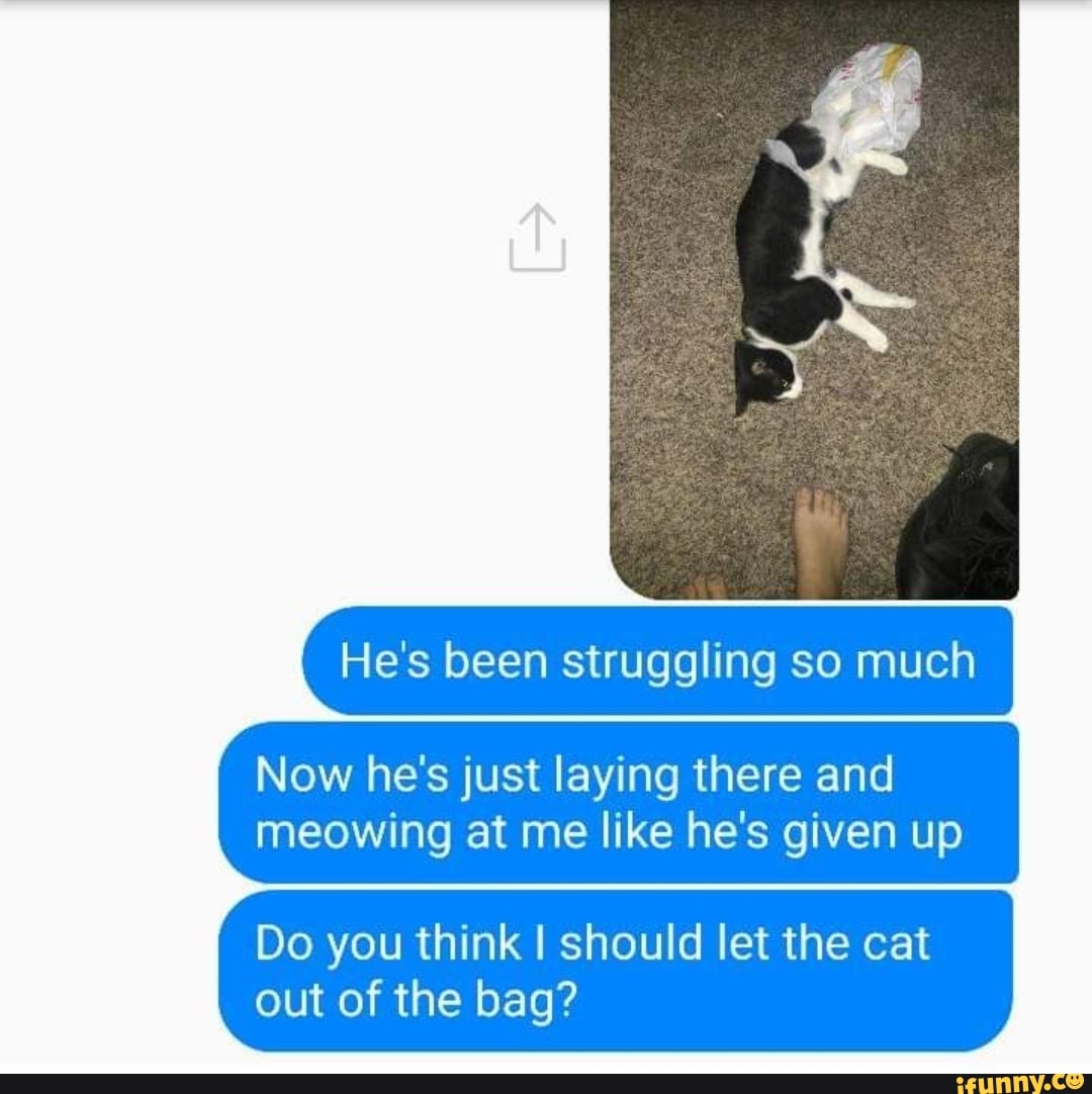 He's been struggling so much Now he's just laying there and meowing at ...