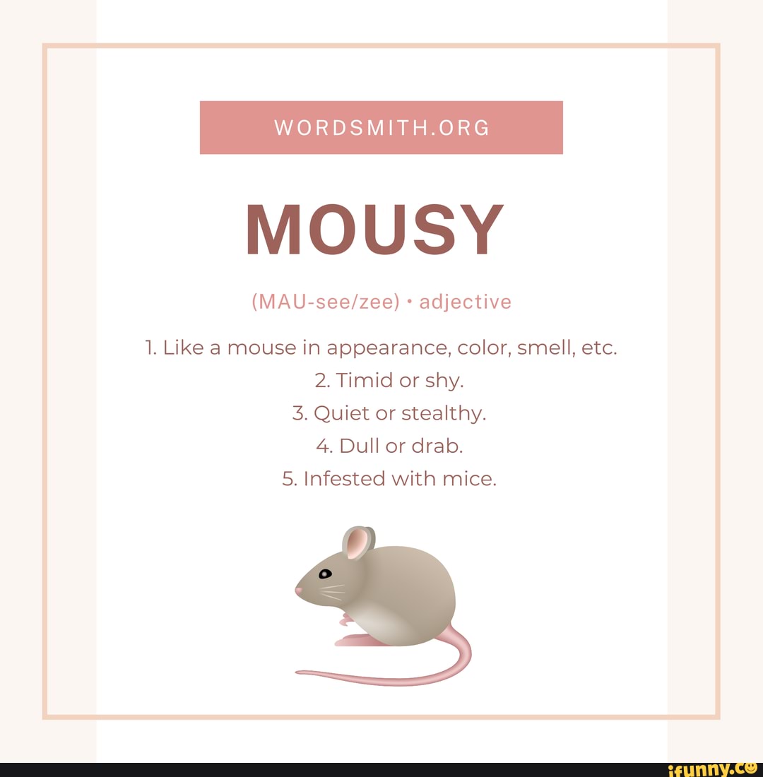 MOUSY Adjective 1 Like A Mouse In Appearance Color Smell Etc 2