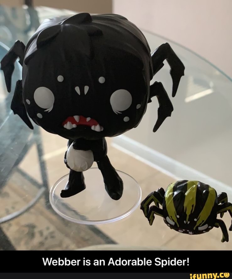 Webber is an Adorable Spider! - Webber is an Adorable Spider! - iFunny