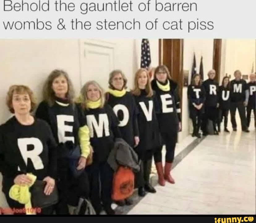 Benold the gauntlet of barren wombs & the stench of cat piss - iFunny