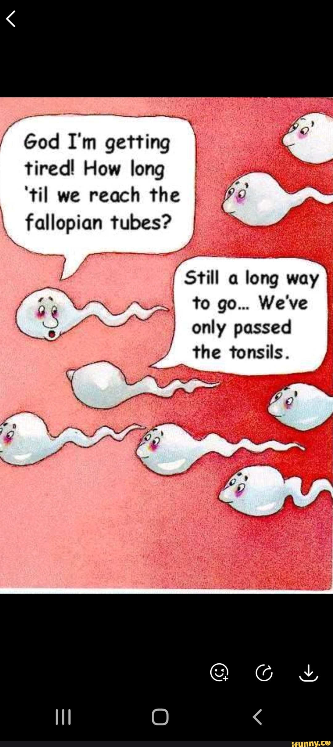 Tonsils memes. Best Collection of funny Tonsils pictures on iFunny