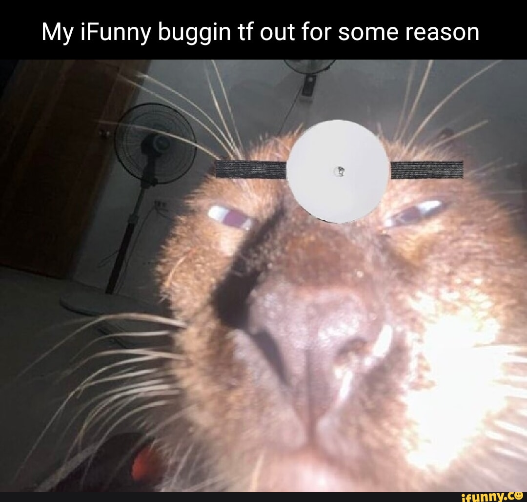 Buggin memes. Best Collection of funny Buggin pictures on iFunny