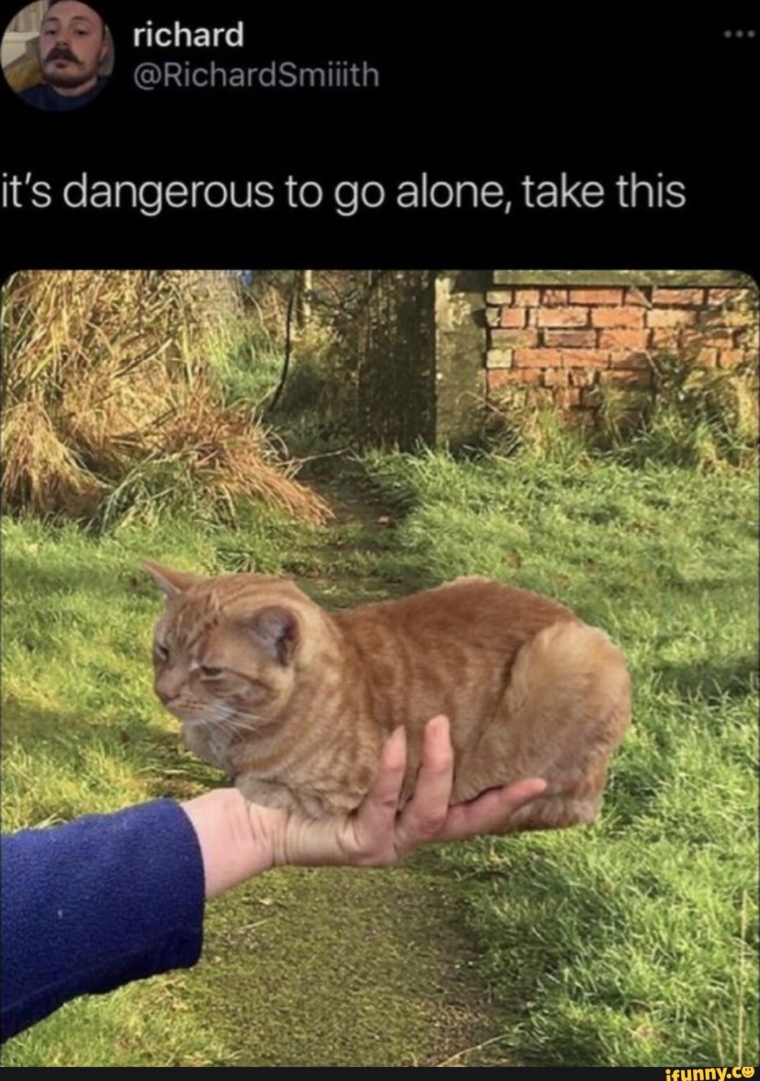 Monster Fucker Permit - iFunny