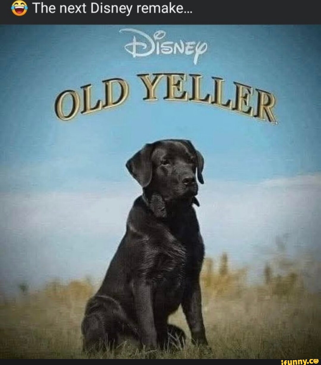 The next Disney remake... - iFunny